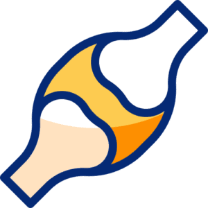 SHIYDF | Natural Height Increase Supplement