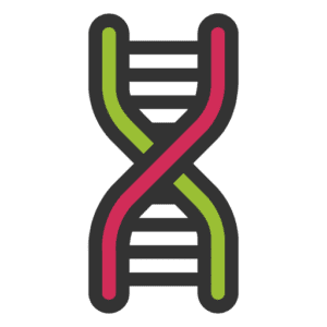SHIYDF | Natural Height Increase Supplement